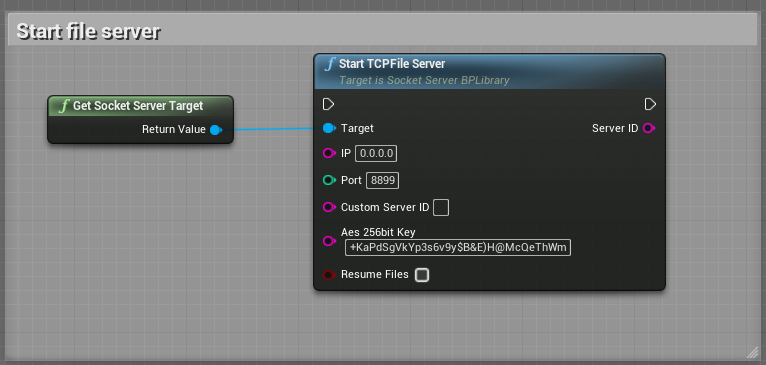 For file transfer there is a separate function to start the server. The ...